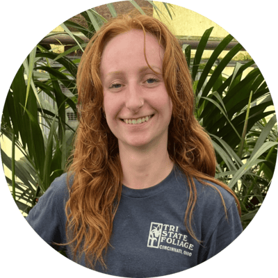 Meet Our Team – Tri State Foliage