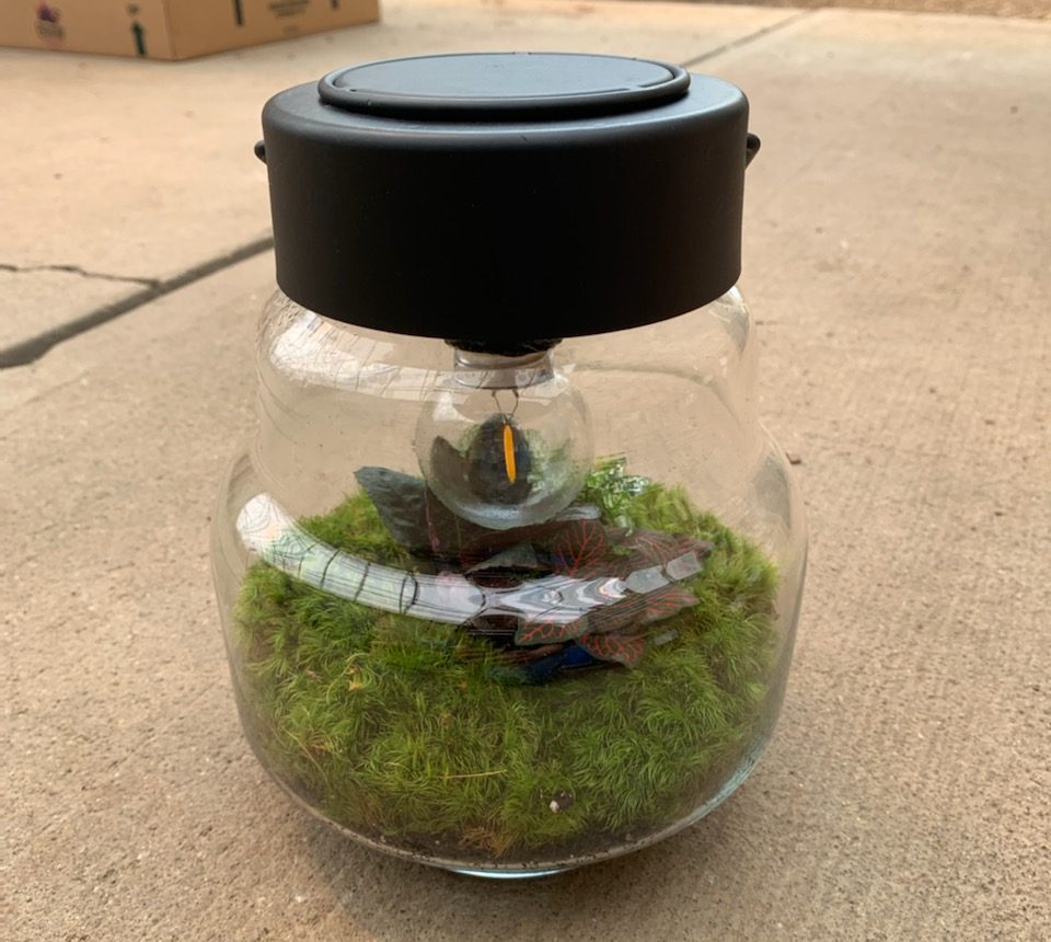 .8″ Lighted Lantern Terrarium – Tri State Foliage